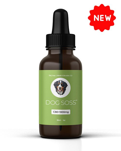 CBD Products for Pets in Denver, Colorado: Dogs